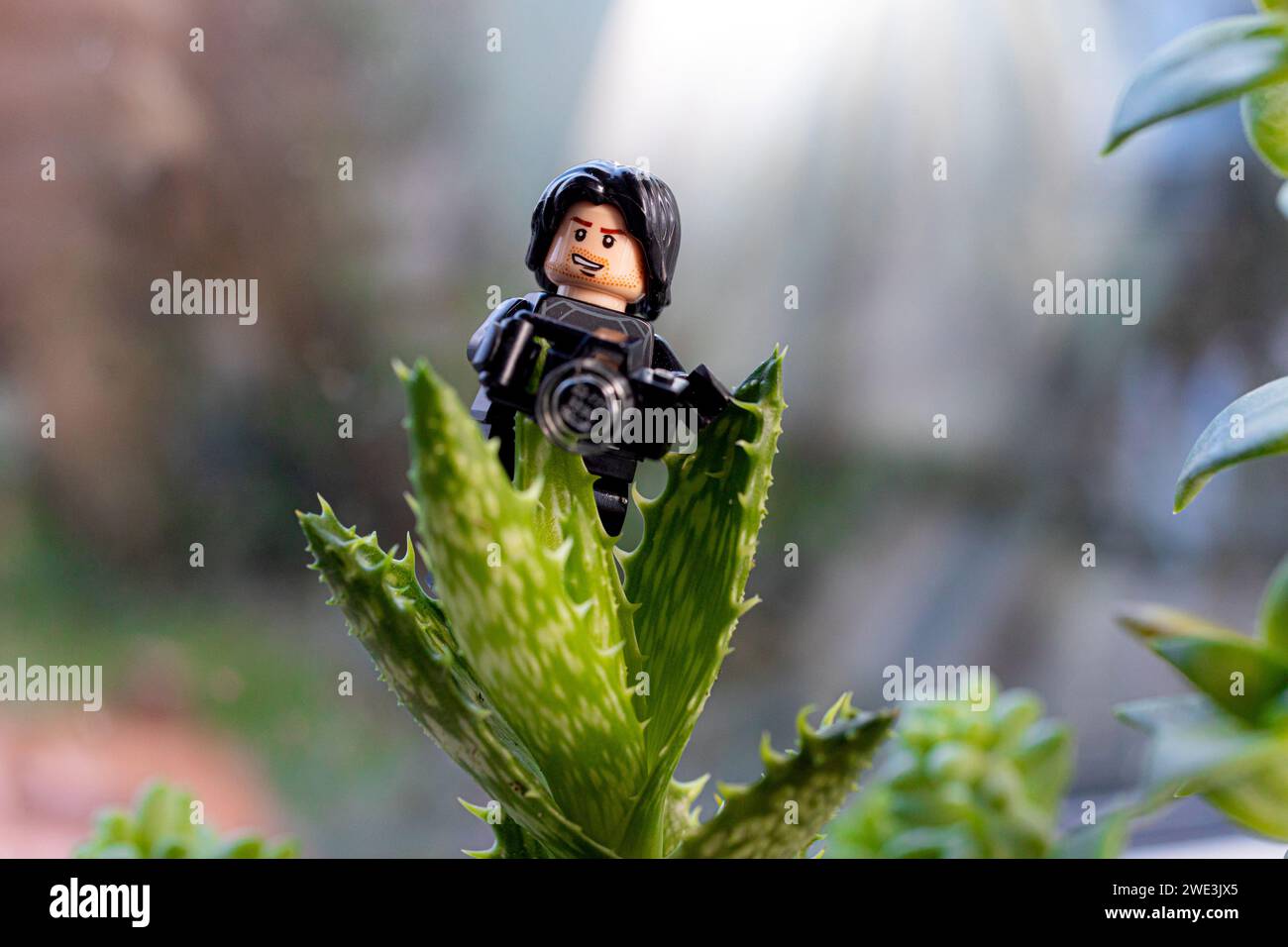Lego character with mini Cactus plant. Shaun Fellows / Alamy Stock ...
