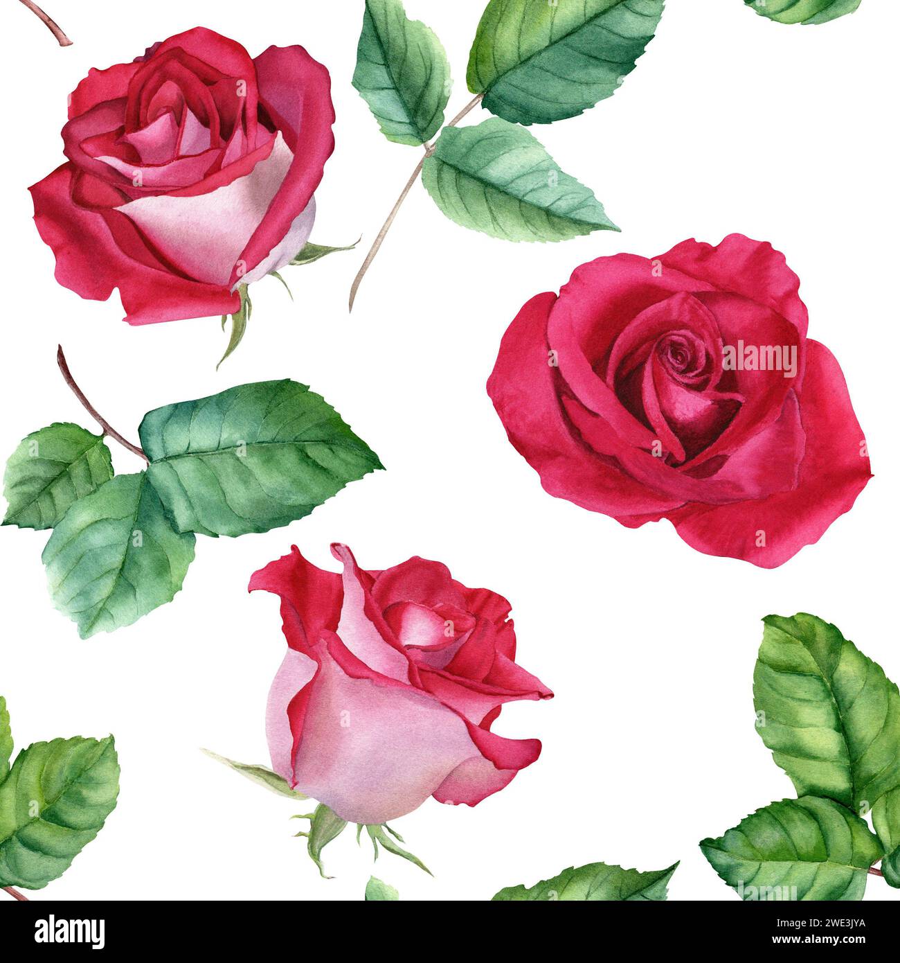 Luxor rose hi-res stock photography and images - Alamy