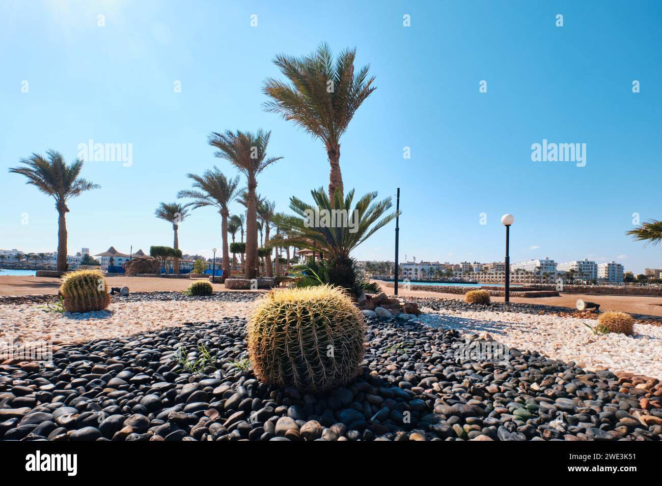 Hurghada, Egypt - January 03, 2024: Cactus and palms in front of a Bel ...