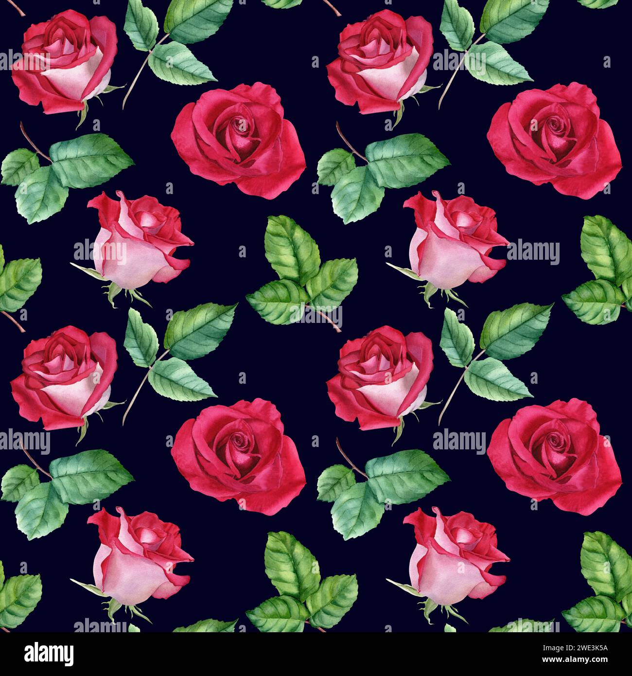 Luxor rose hi-res stock photography and images - Alamy