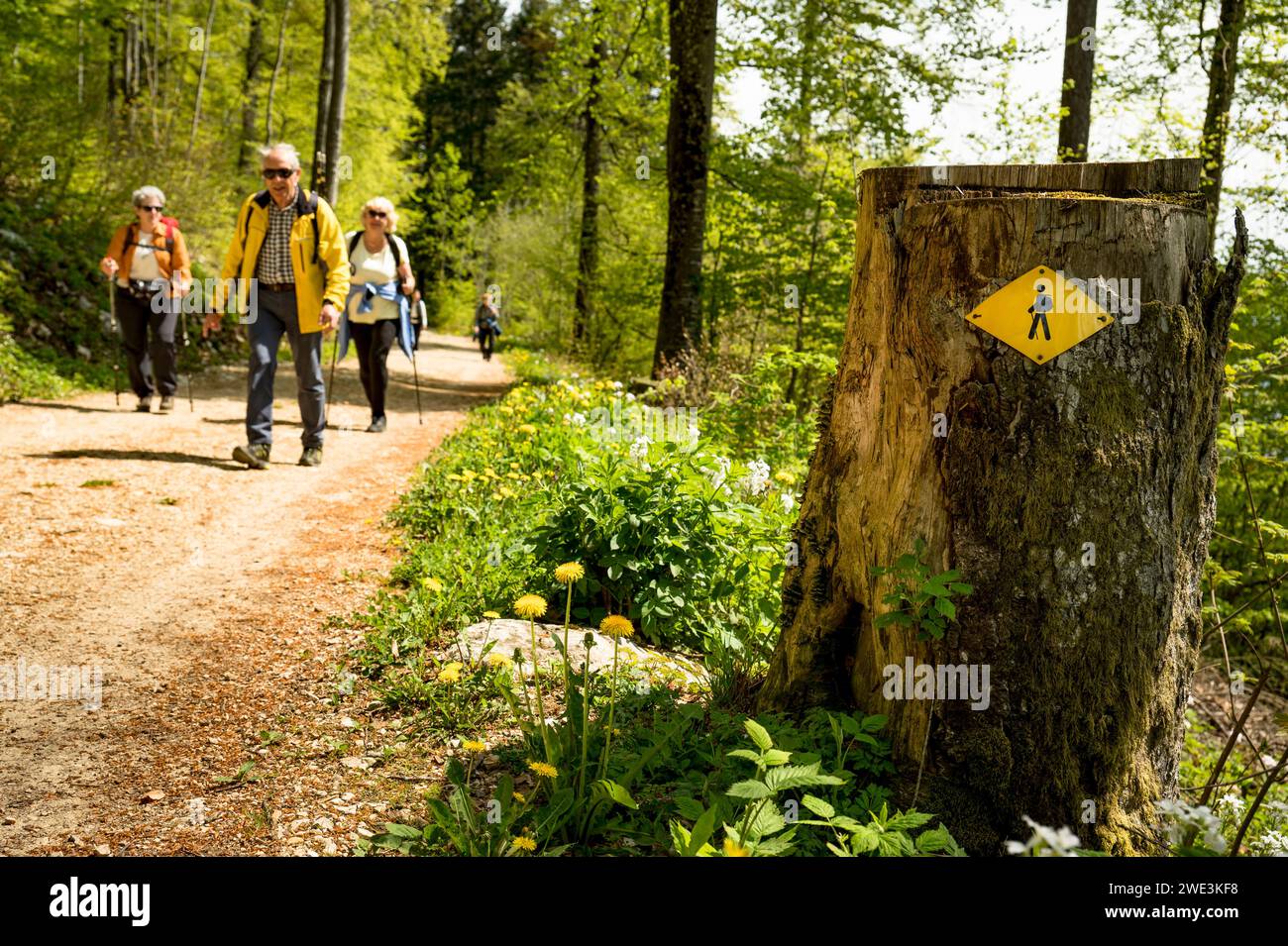 Wanderung Magglingen - Twannberg - Twannbachschlucht am 5. Mai 2023 ...