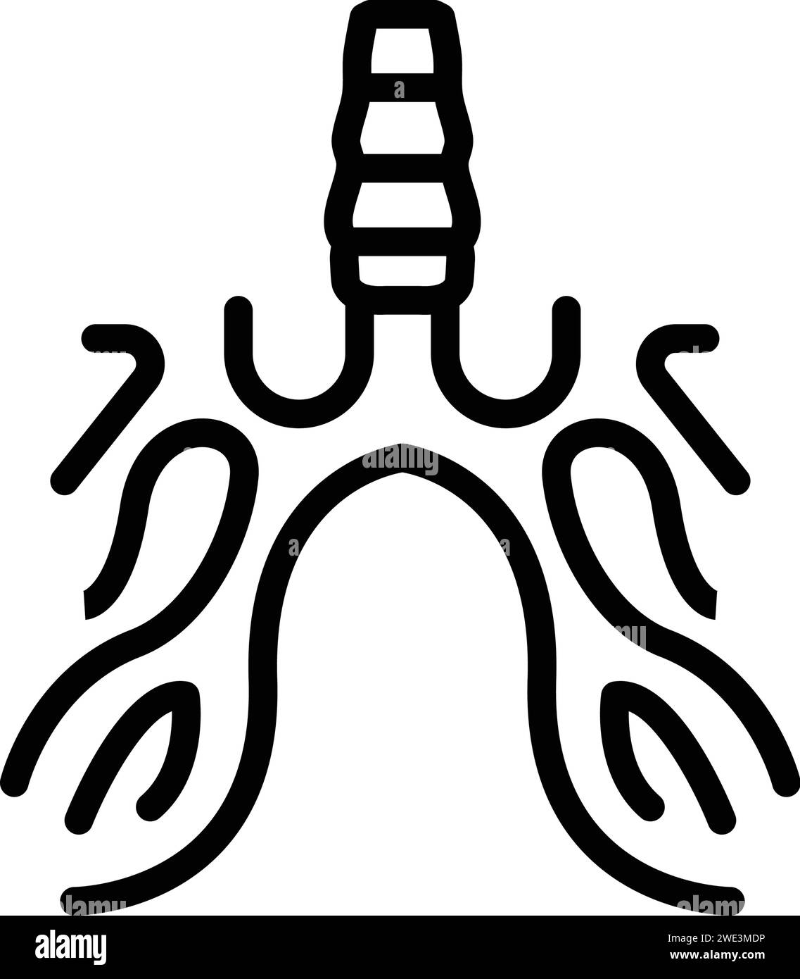 Bronchus icon symbol Stock Vector Images - Alamy