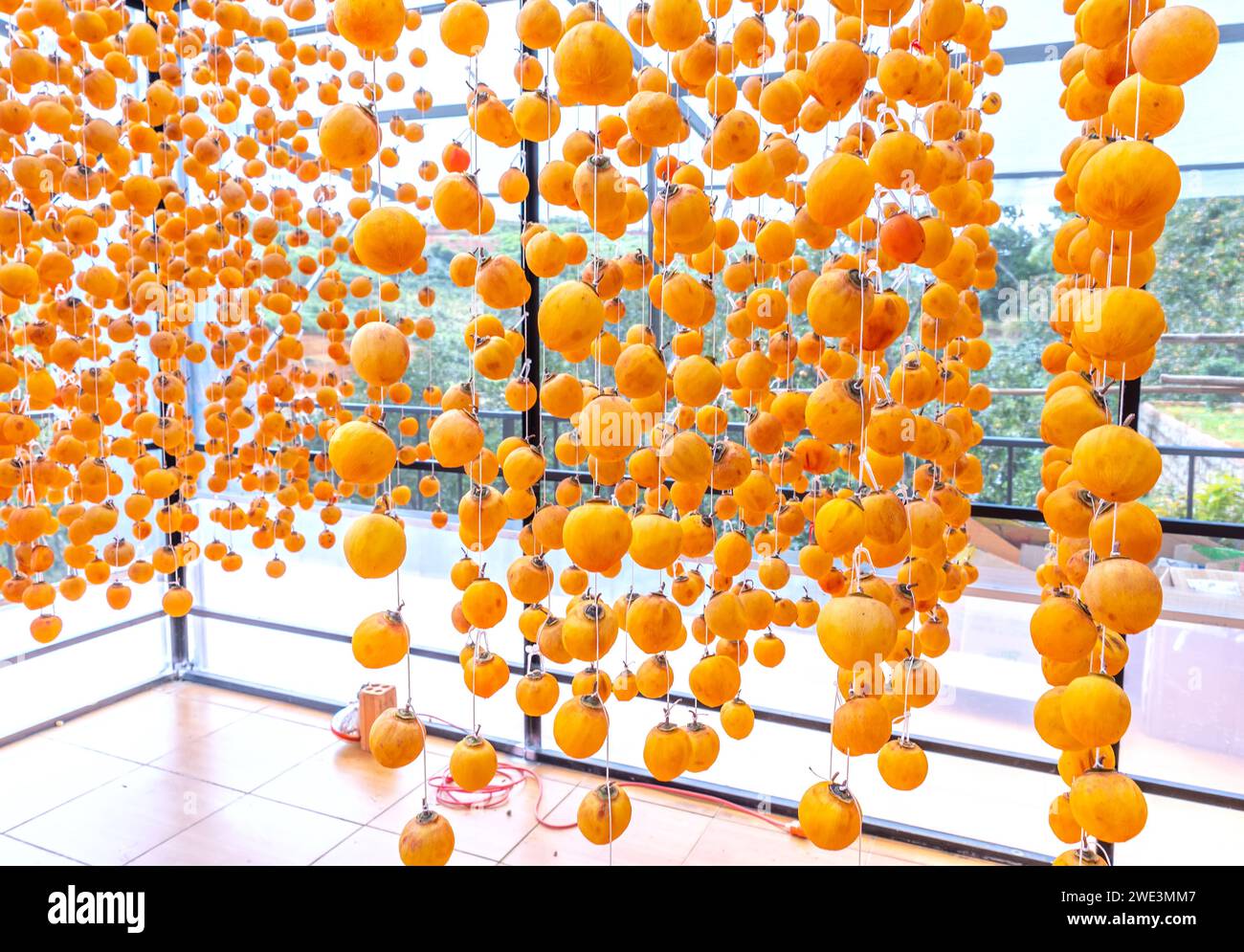 Dried persimmon is dried according to traditional Japanese technology ...