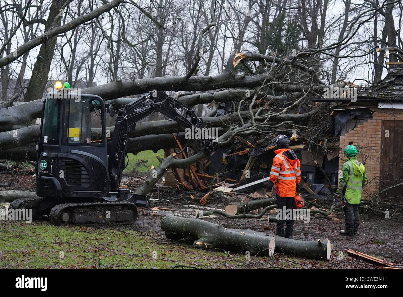 Workers remove a tree that fell on an electricity substation on the ...