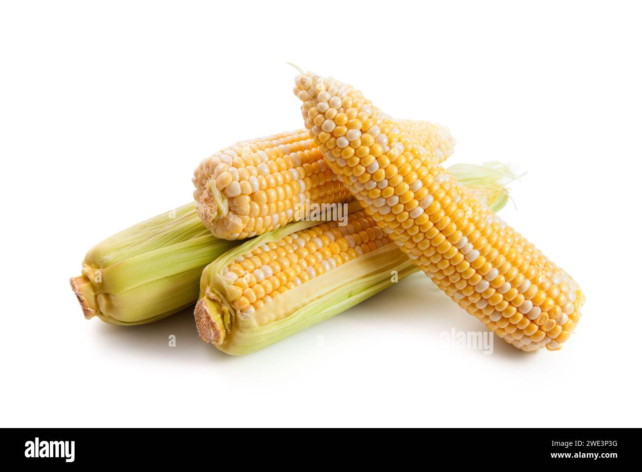 Several ears of ripe corn with soft shadow isolated on white background ...