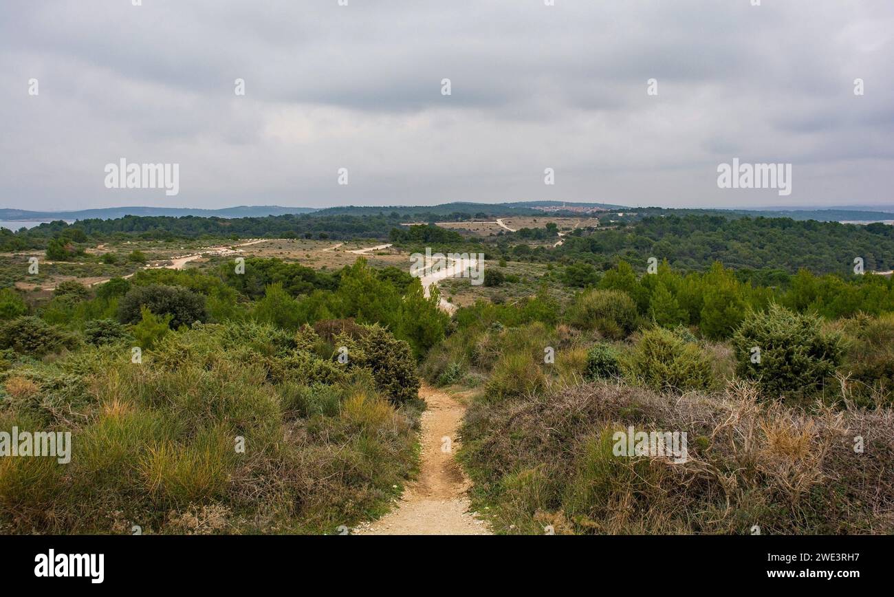 Kamenjak National Park on the Premantura peninsula of Medulin, Istria ...