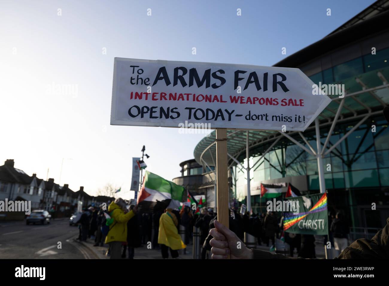 Pro-Palestine protesters PALESTINE ACTION take part in a demonstrations ...