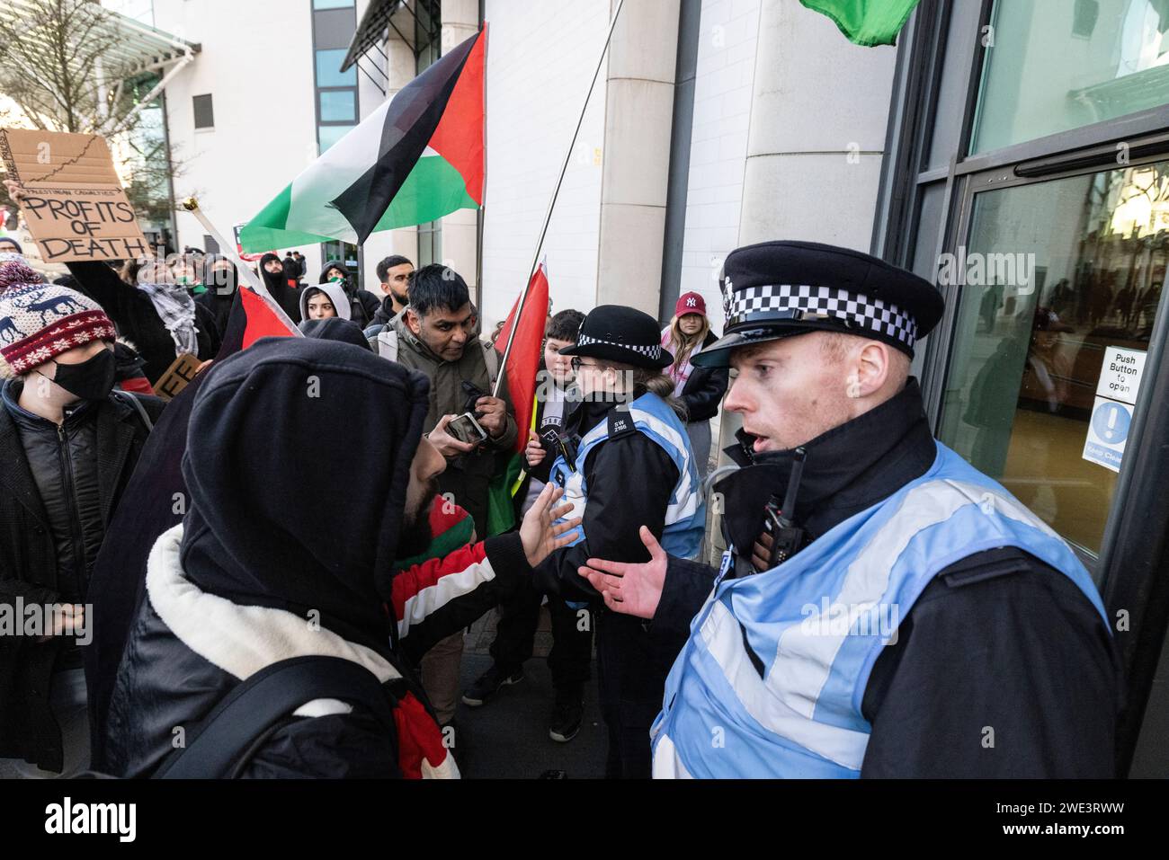 Pro-Palestine protesters PALESTINE ACTION take part in a demonstrations ...