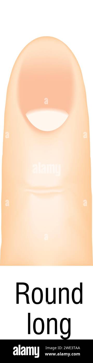 Round long nail icon cartoon vector. Cute care finger. Spa care shape ...