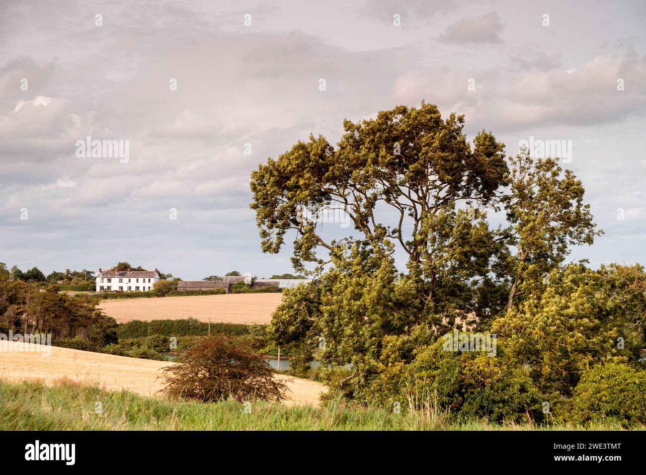Mahee island hi-res stock photography and images - Alamy