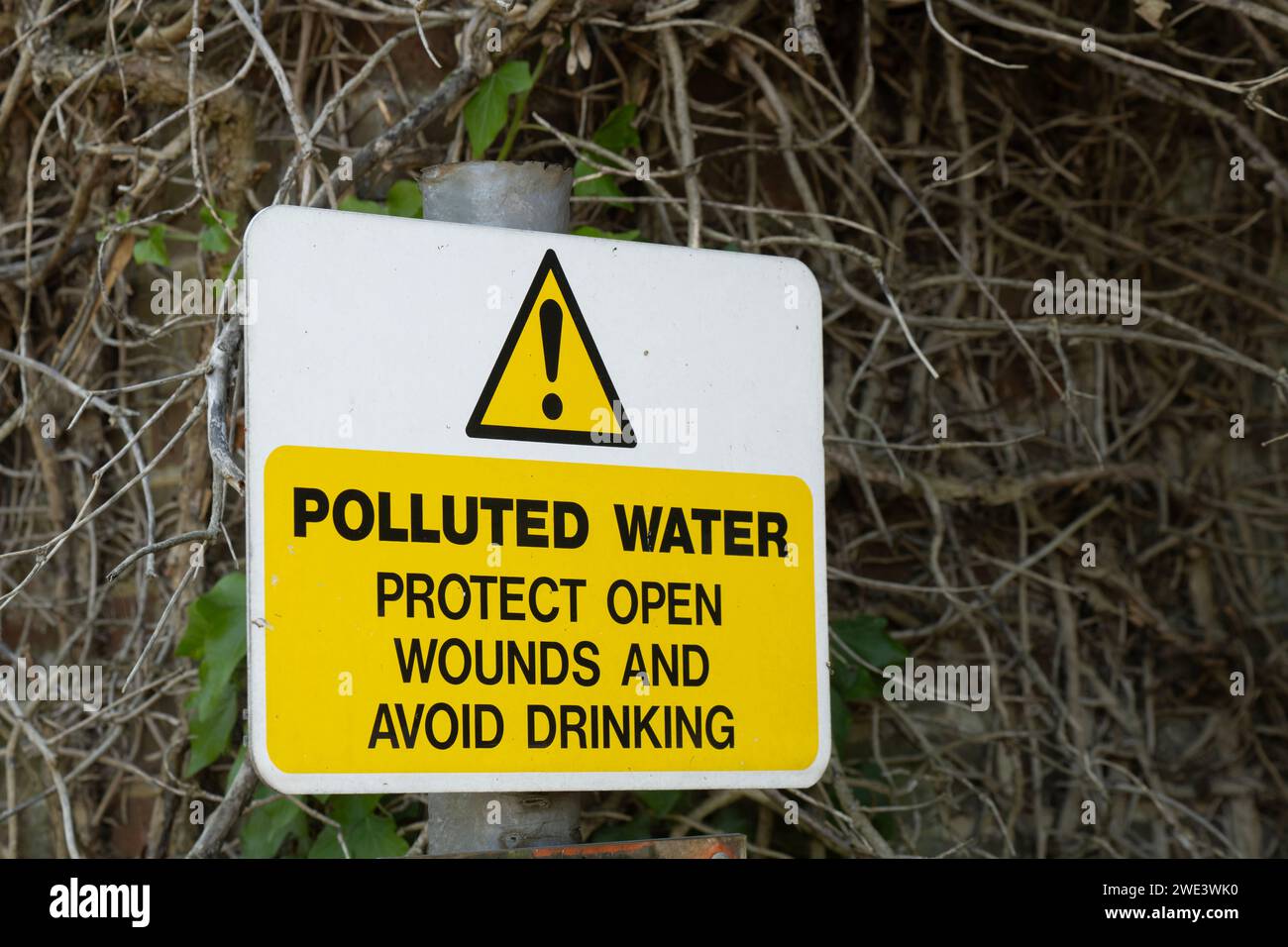 Polluted water hi-res stock photography and images - Alamy