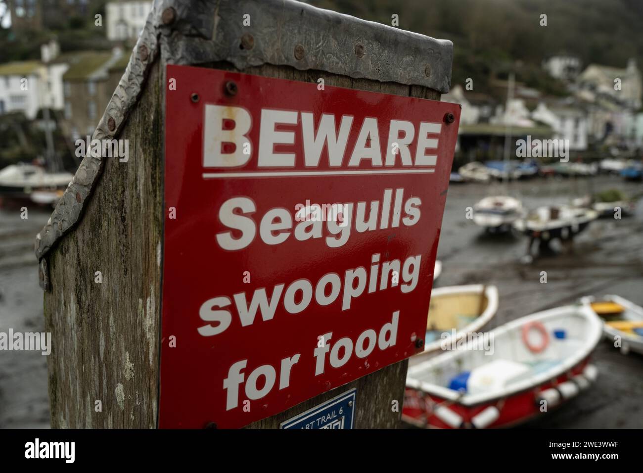 Seagull warning sign hi-res stock photography and images - Alamy