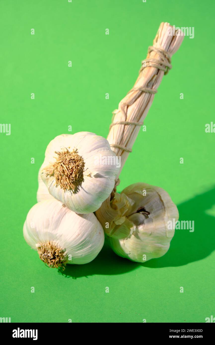 A short string of garlic against a seamless green background Stock ...