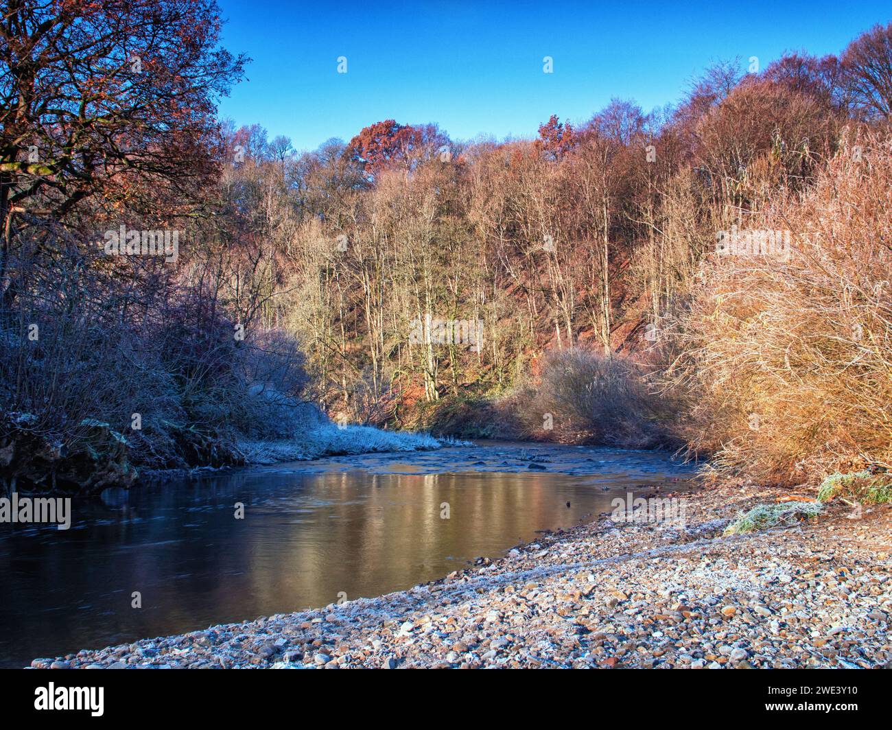 Morning frost on the shore of Pendle Water, with surrounding trees in ...
