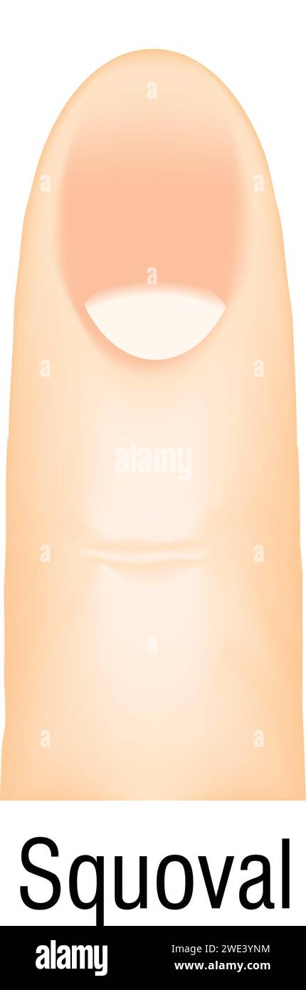 Squoval nail manicure icon cartoon vector. Polish fashion. Fake form ...