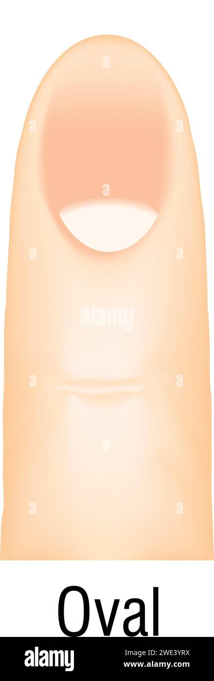 Oval nail manicure icon cartoon vector. Bright fashion. Cutter beauty ...