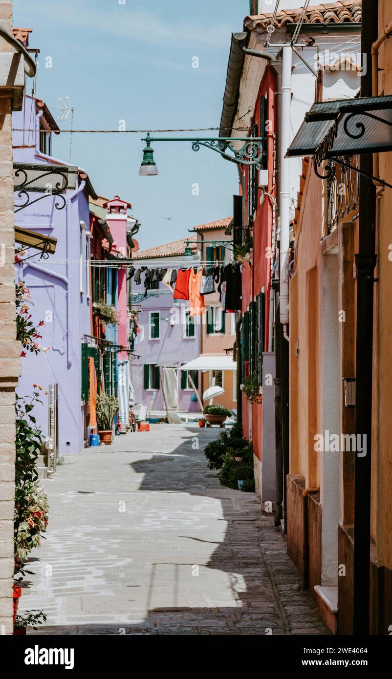 Electrify Your Drive: A Visual Ode to Electric Vehicle Elegance Stock ...