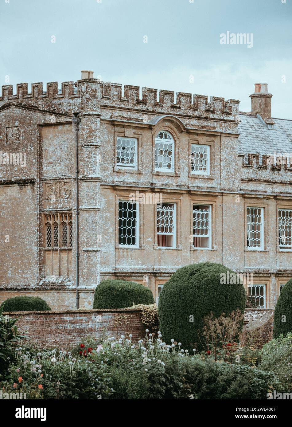 Modern vehicle aesthetics hi-res stock photography and images - Alamy