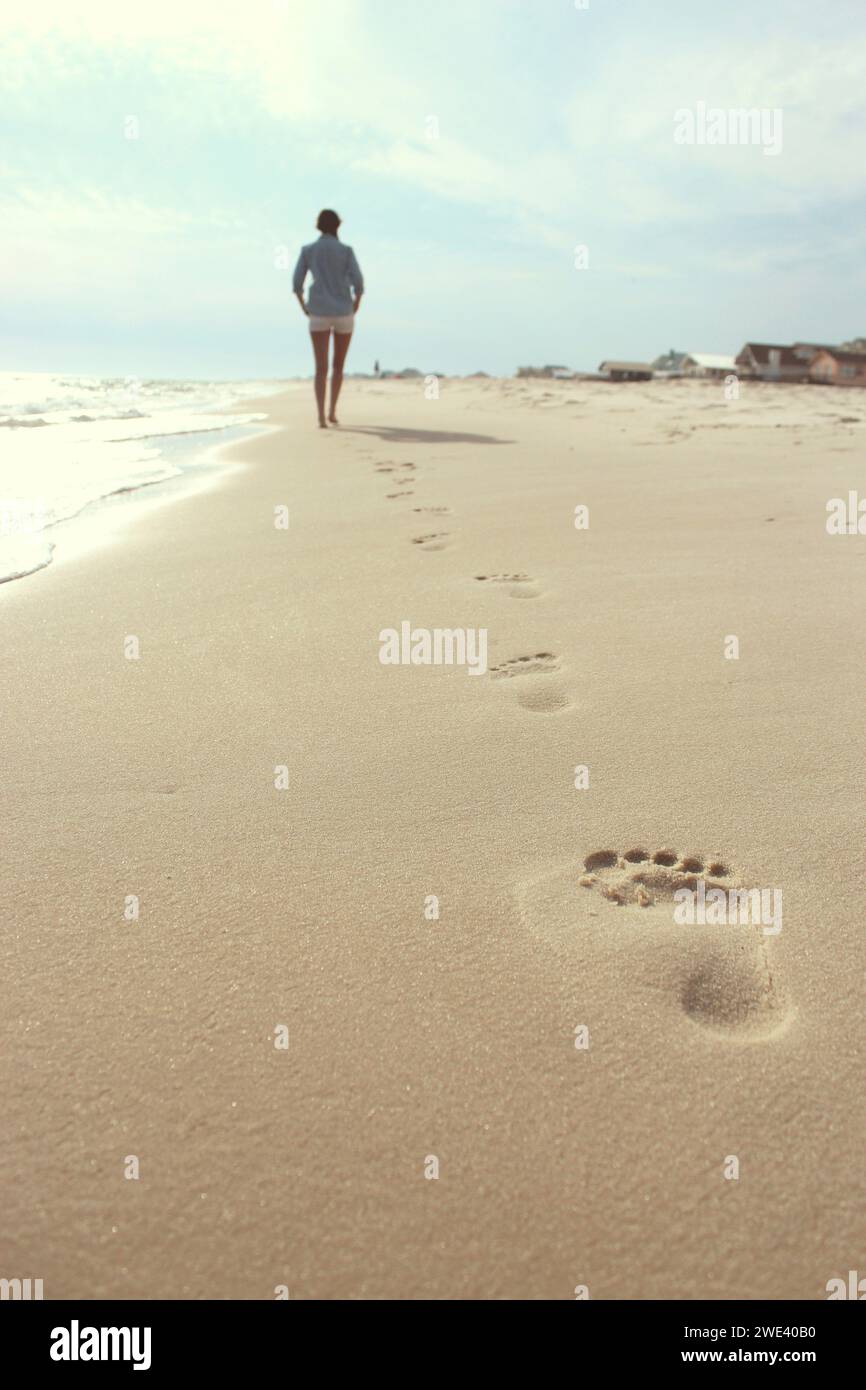 Electrify Your Drive: A Visual Ode to Electric Vehicle Elegance Stock ...