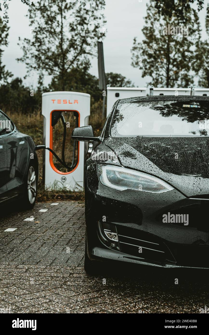 Electrify Your Drive: A Visual Ode to Electric Vehicle Elegance Stock ...