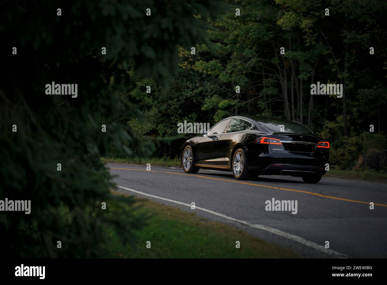 Electrify Your Drive: A Visual Ode to Electric Vehicle Elegance Stock ...