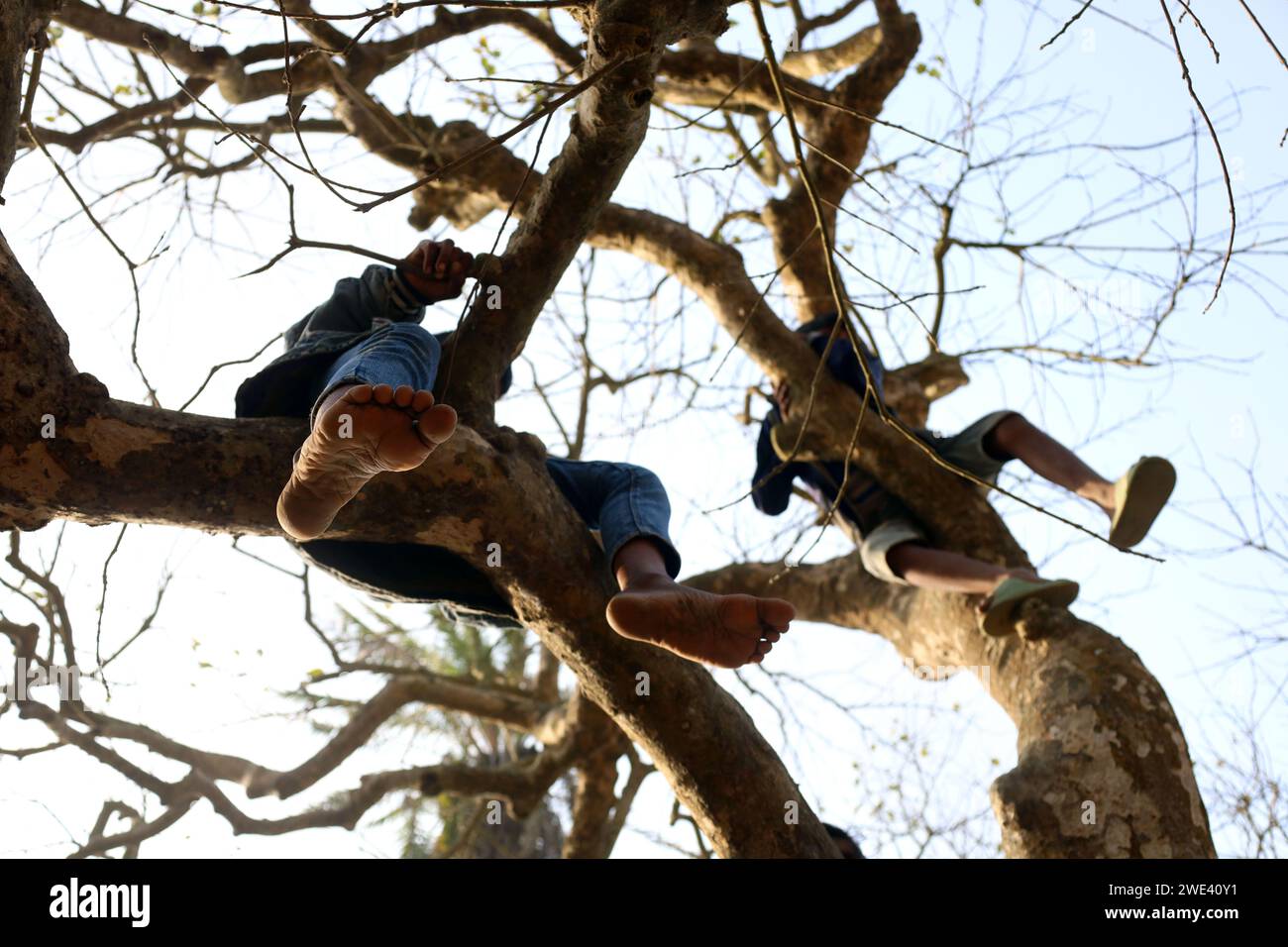 Nawabganj, Dhaka, Bangladesh. 23rd Jan, 2024. Before the start of the ...