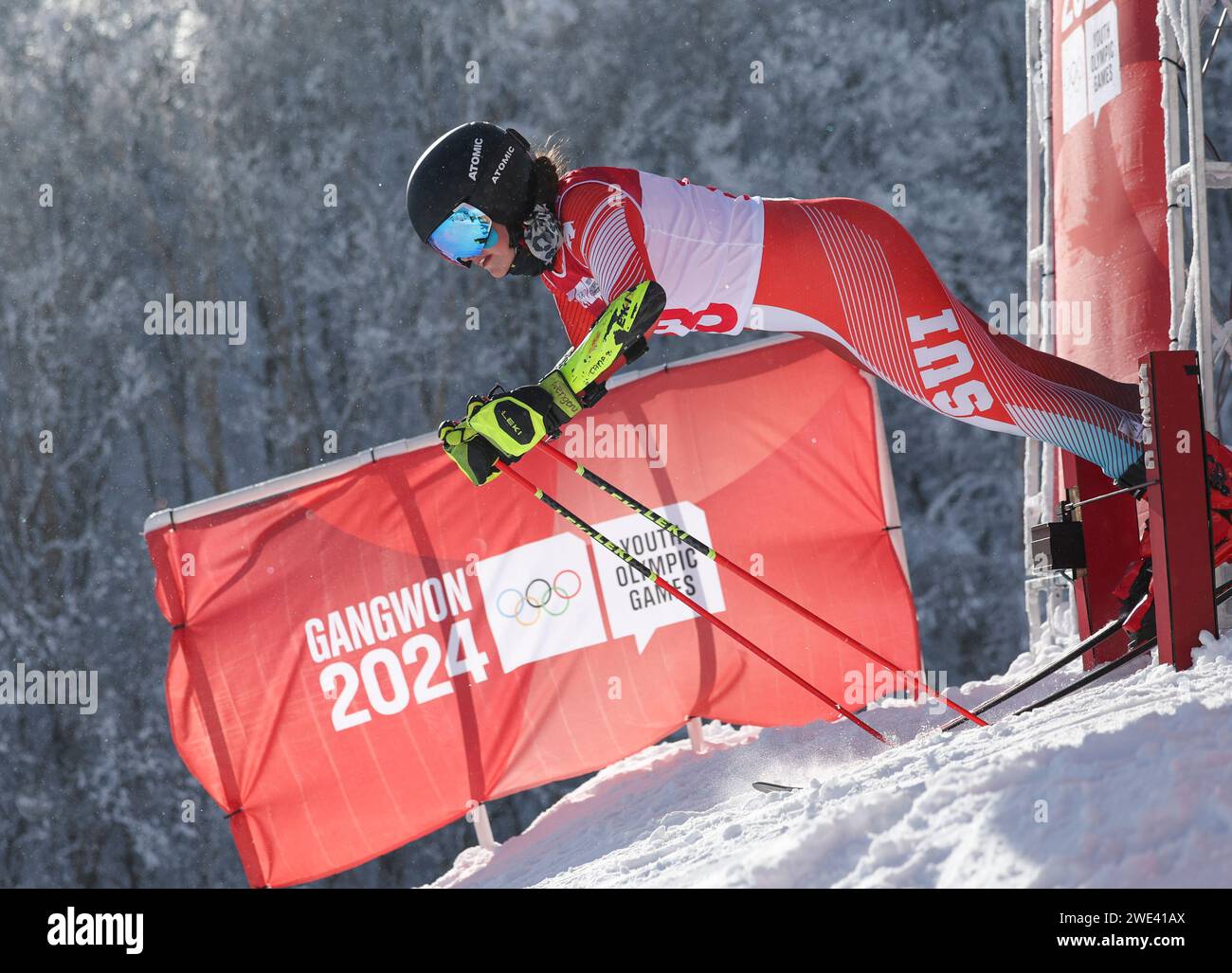 Jeongseon, South Korea. 23rd Jan, 2024. Fabienne Wenger of Switzerland ...