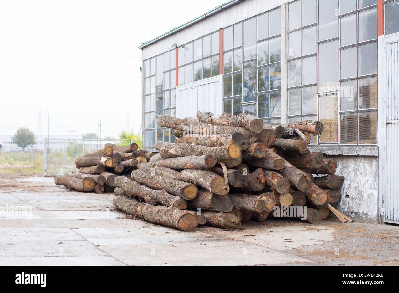 Wood storage warehouse in timber processing plant hi-res stock ...