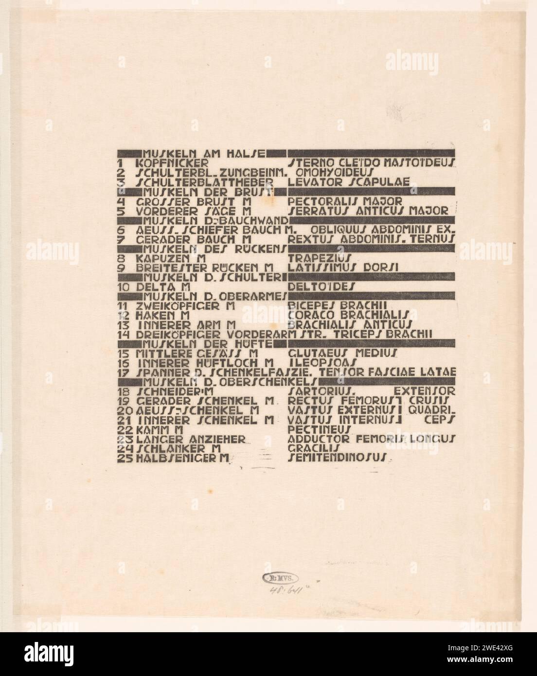 List of neck, abdominal and thigh muscles in German and Latin, Reijer ...