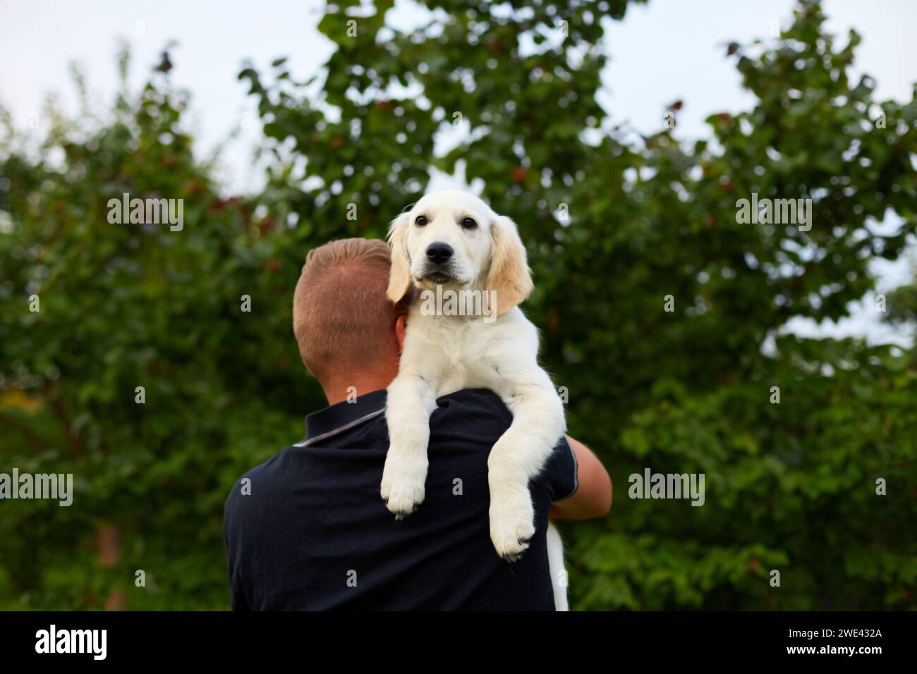 A content man enjoys a warm summer day outdoors as he lovingly holds a ...
