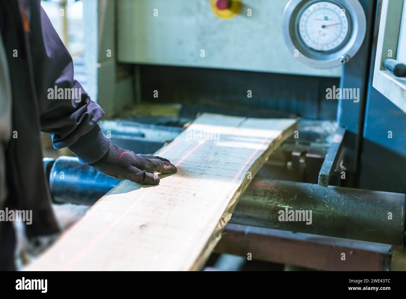 plank cutting with precise laser guidance machine Stock Photo - Alamy