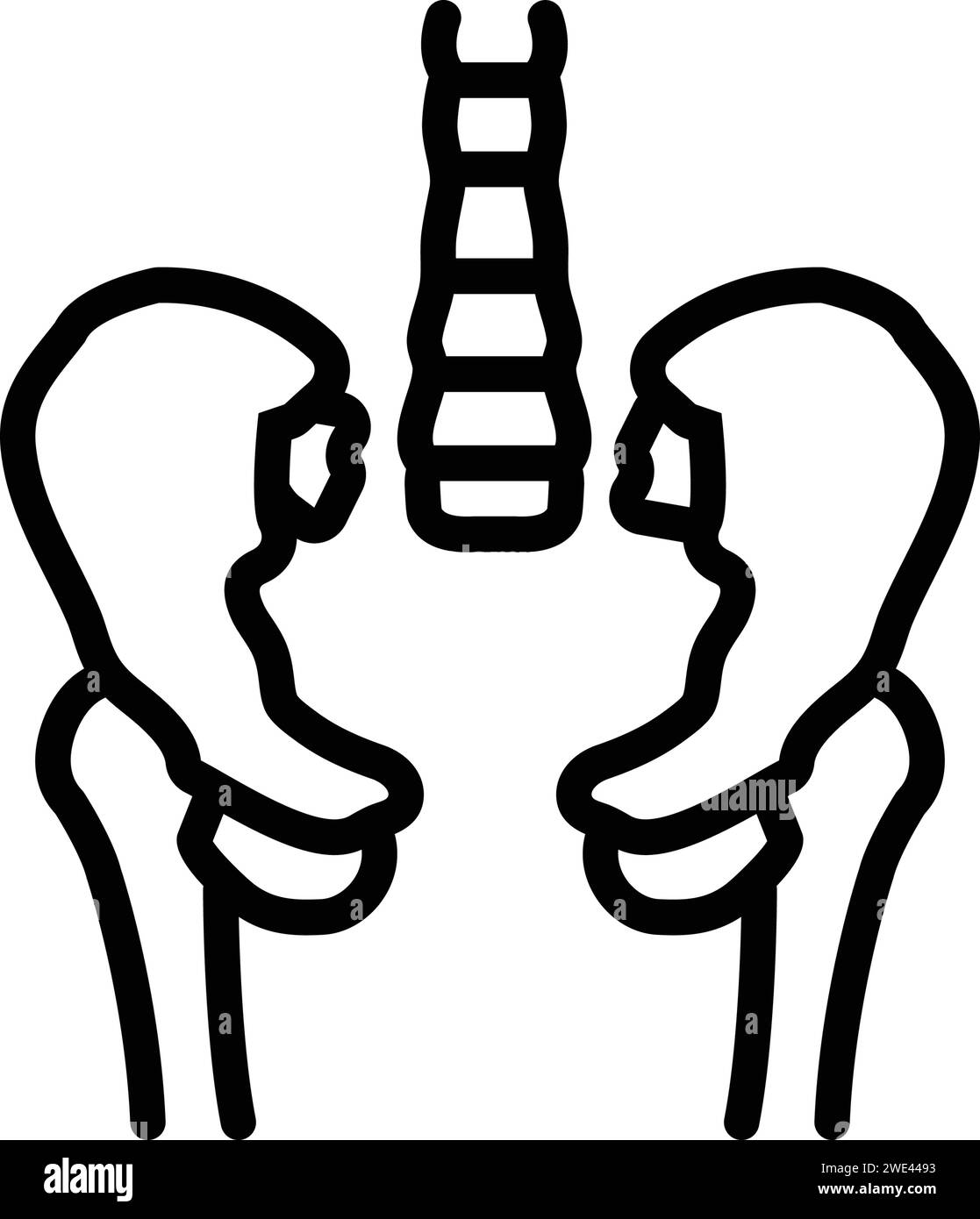 Hip joint Black and White Stock Photos & Images - Alamy