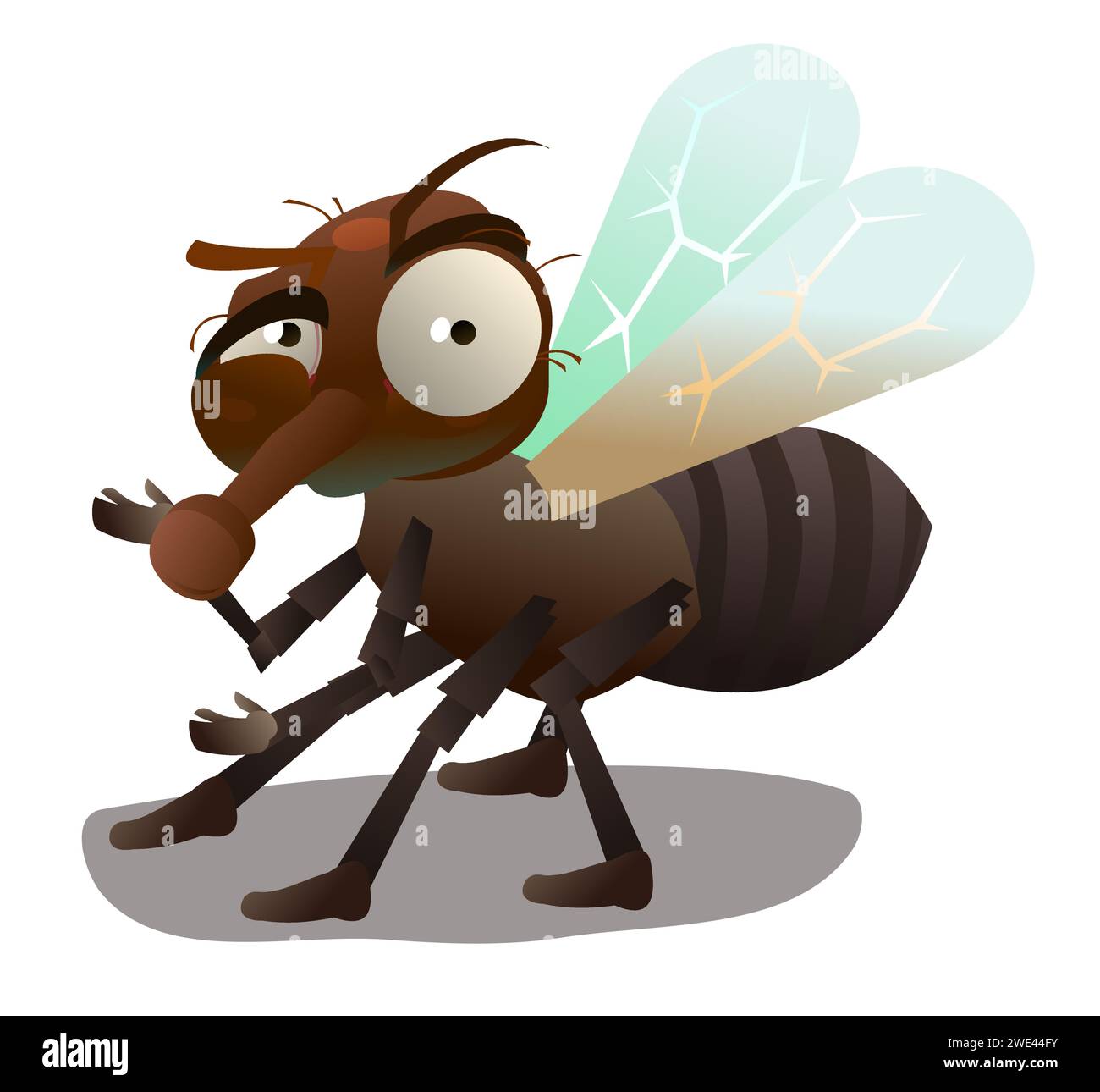 fly sits on surface. Dirty insect. Animal parasite. Object isolated on ...