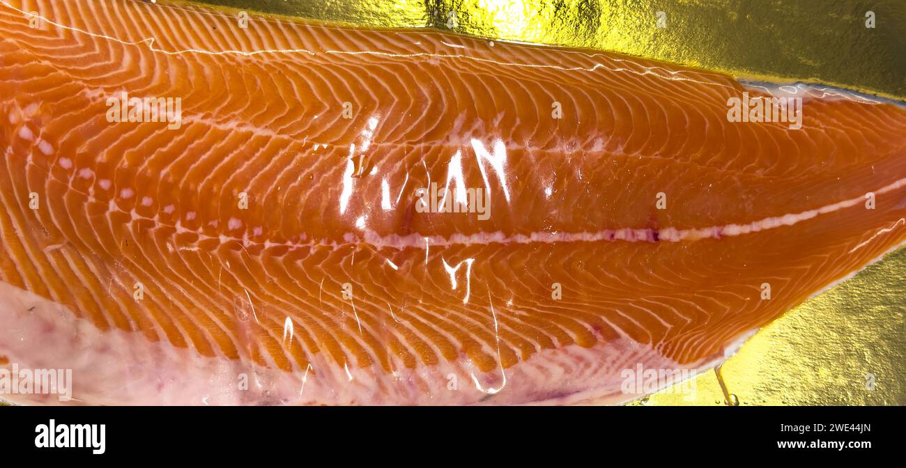 Vacuum packaged salmon fish isolated on white background Stock Photo ...