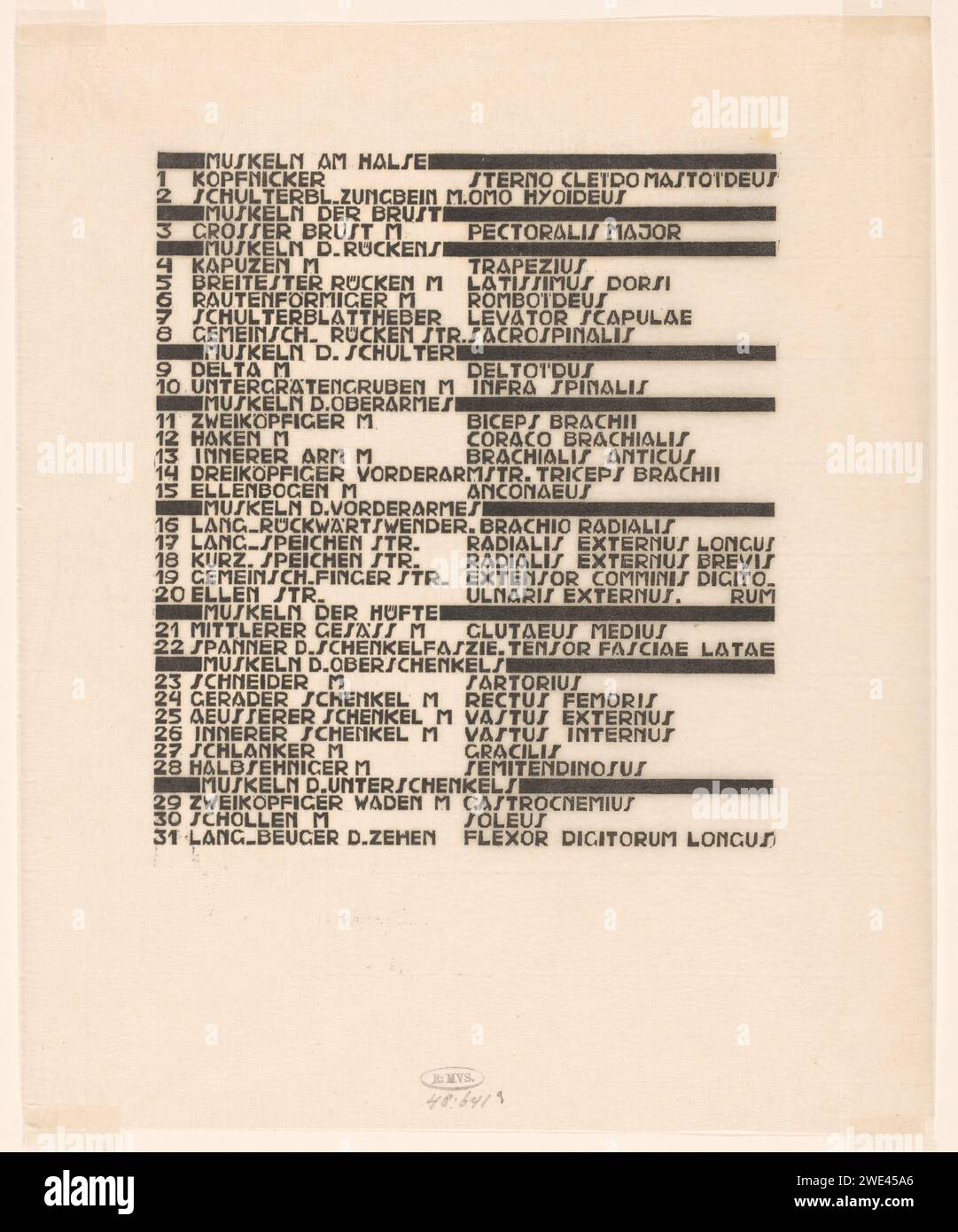 List of neck, arm and side muscles in German and Latin, Reijer Stolk ...
