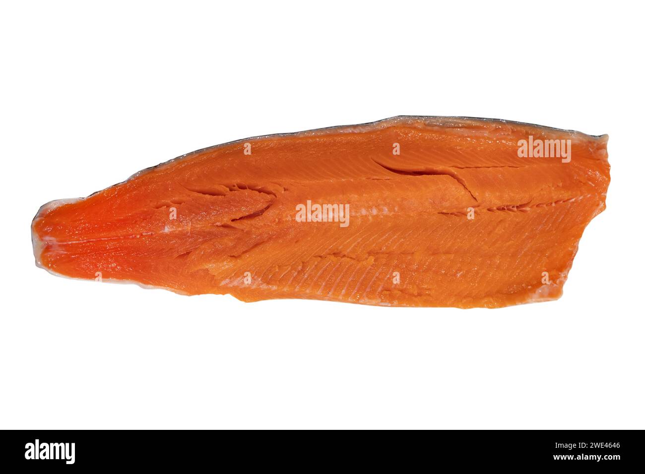 Trout fish fillet isolated on white background. Fresh fillet wild trout ...