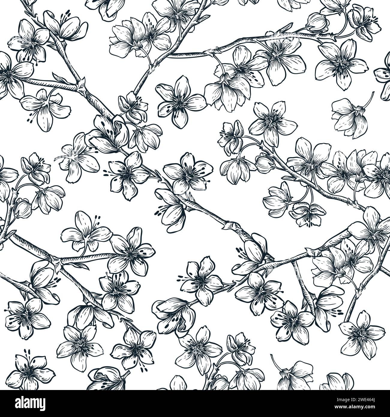Cherry floral blossom seamless pattern. Vector hand drawn sketch ...