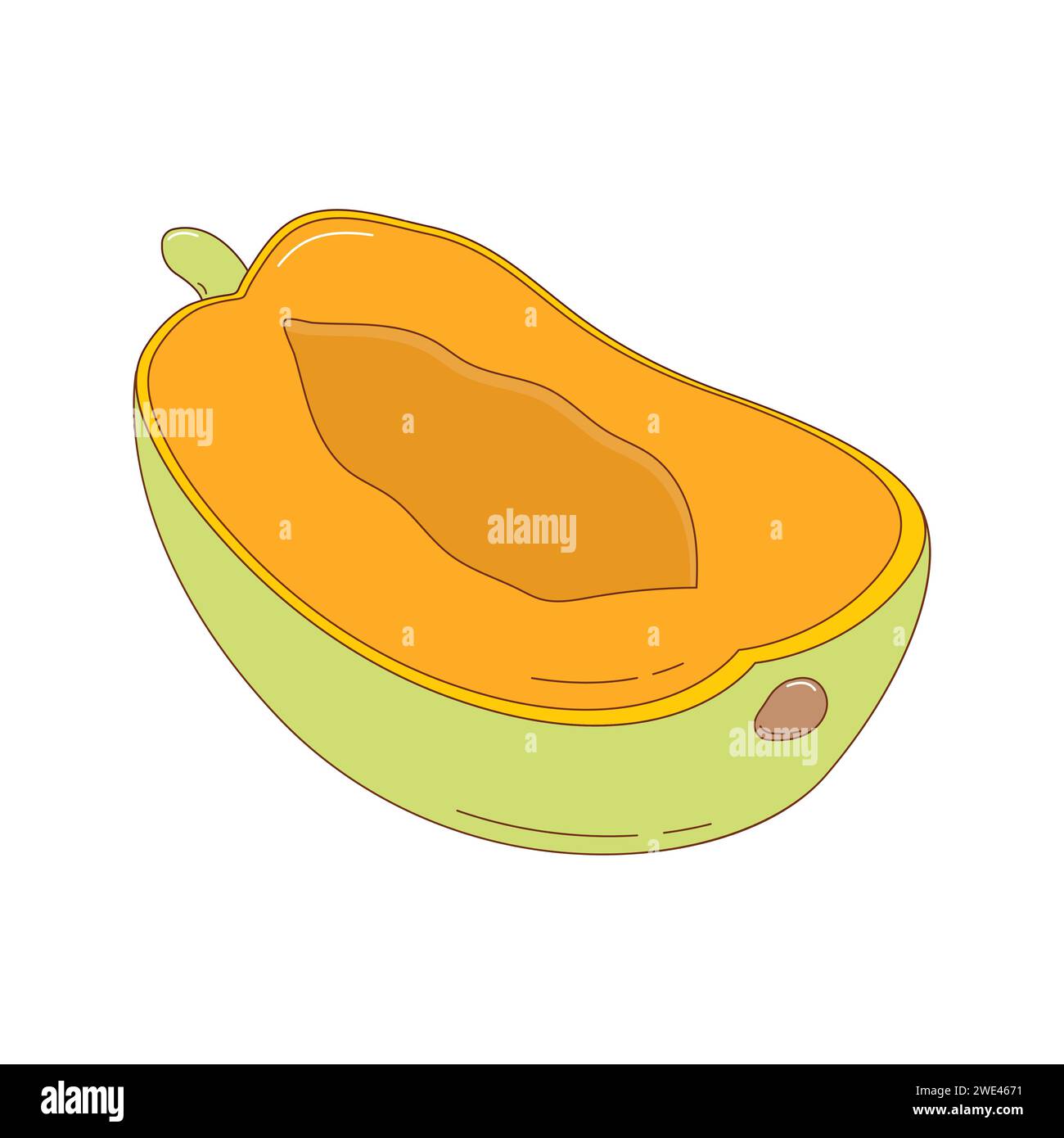 Hand drawn papaya fruit vector illustration. Creative hand drawn fruit ...