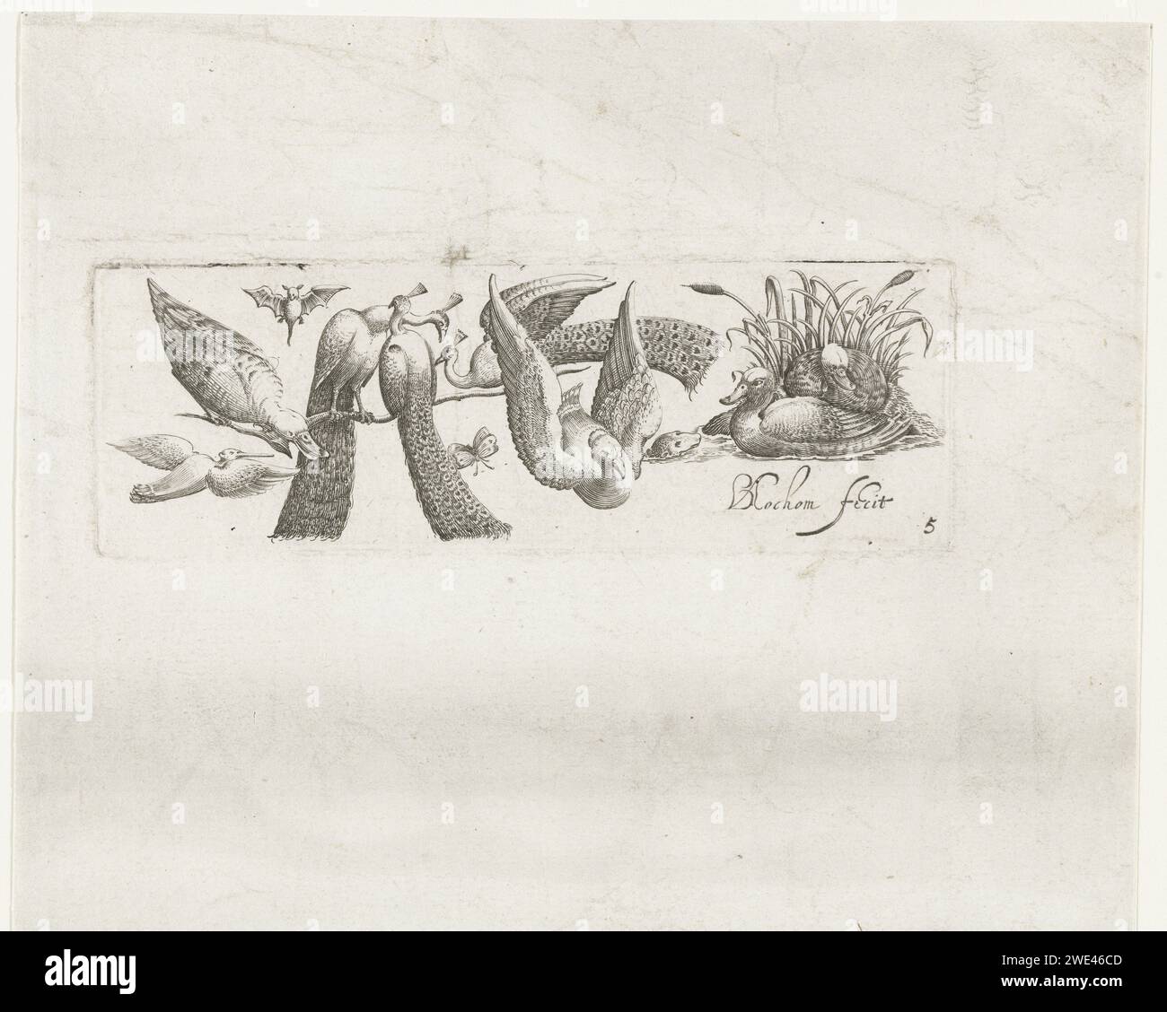 Eight Vogels, Bartholomeus van Lochom, After Hans Janssen, c. 1630 ...