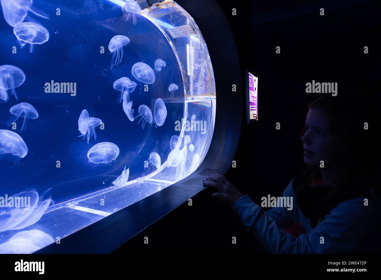 Prague medusaruim hi-res stock photography and images - Alamy