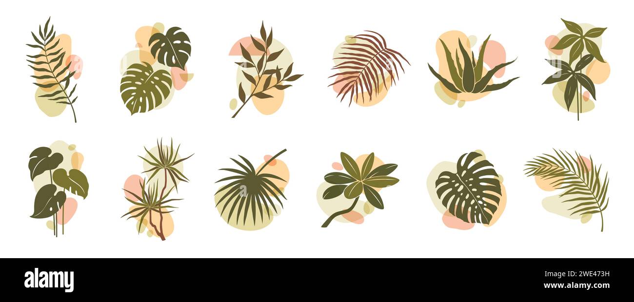 Abstract organic boho leaf and plant shapes. Isolated vector set of ...