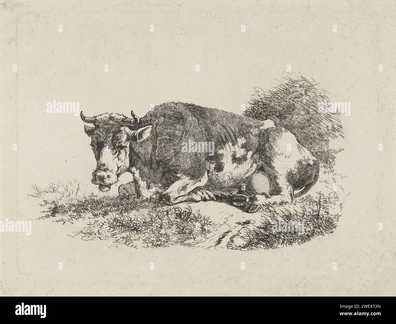 Liggende koe, Jan Kobell (iii), print Lying cow, left, in a landscape ...