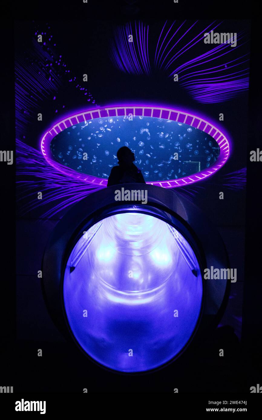 Prague medusaruim hi-res stock photography and images - Alamy