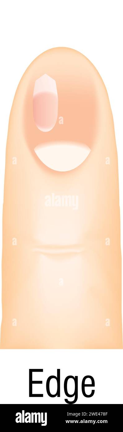 Edge nail design icon cartoon vector. Form studio. Beauty care Stock ...