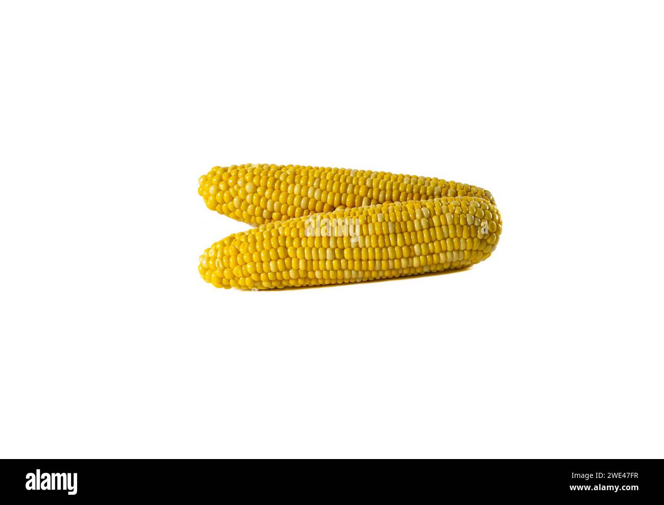Corn Isolation. Corn on a white background. Corn cob on white Stock ...
