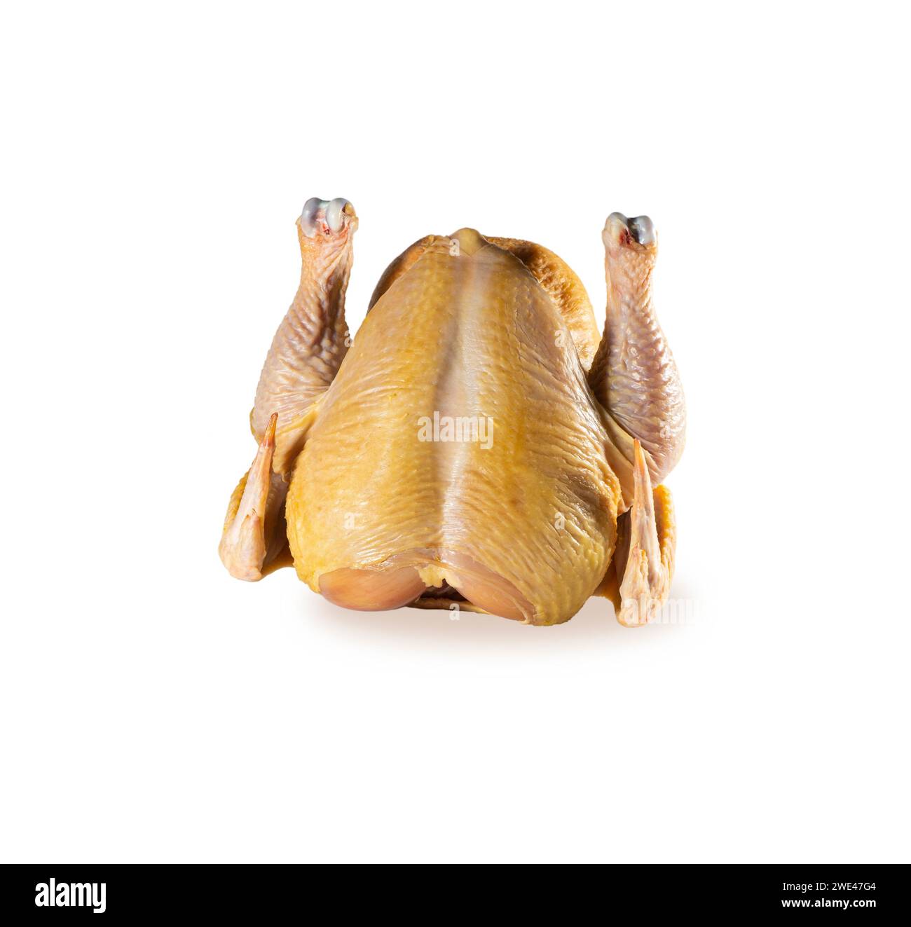 Turkey meat isolated. Farm turkey meat on white background. Fresh raw ...