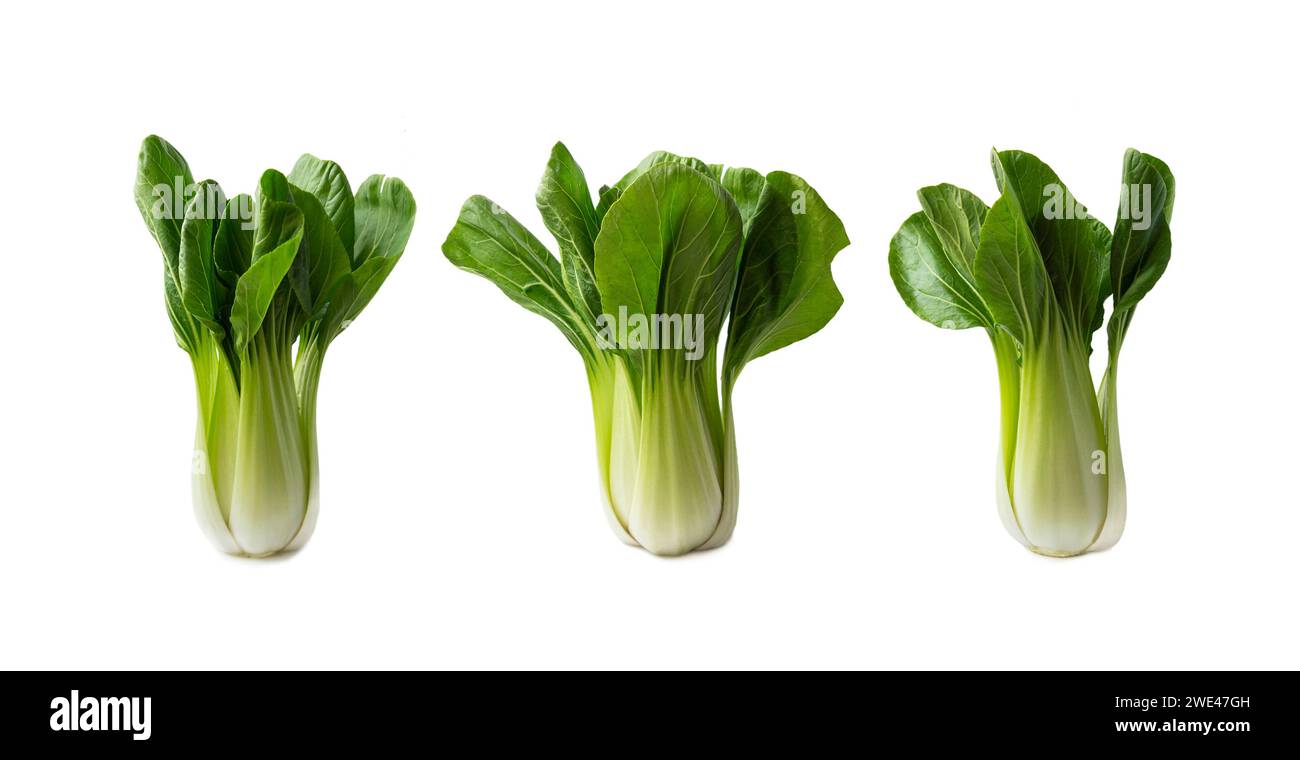 Pak choi cabbage isolated on a white background. Fresh chinese cabbage ...
