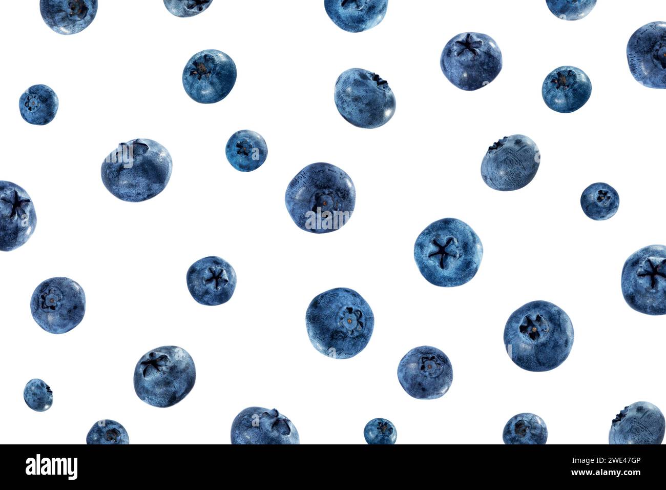 Falling blueberries isolated on white. Background of fresh blueberries ...
