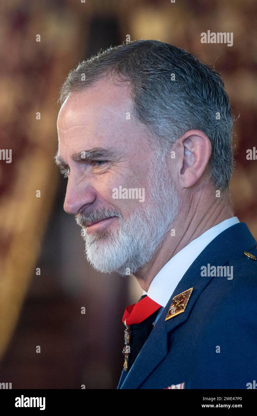 King Felipe VI receives in military audience a group of colonels and ...