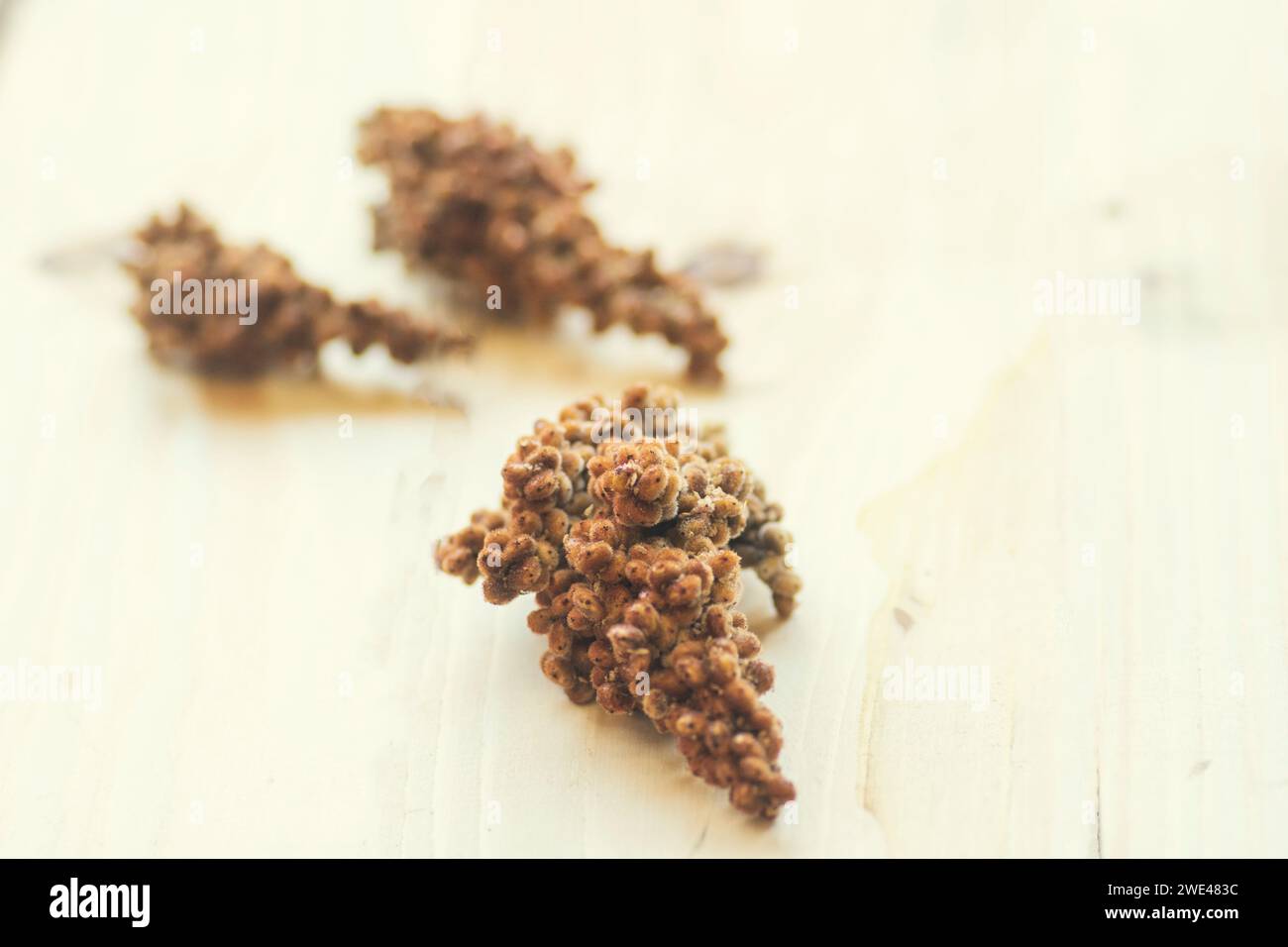 Sumac herb spice plant Stock Photo - Alamy